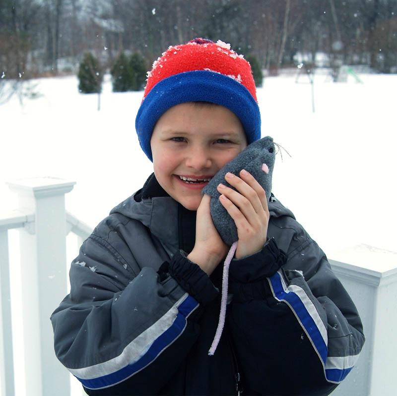 Snow Toys -Maine Warmers – Microwave Heating Pads and Gentle Ice Packs